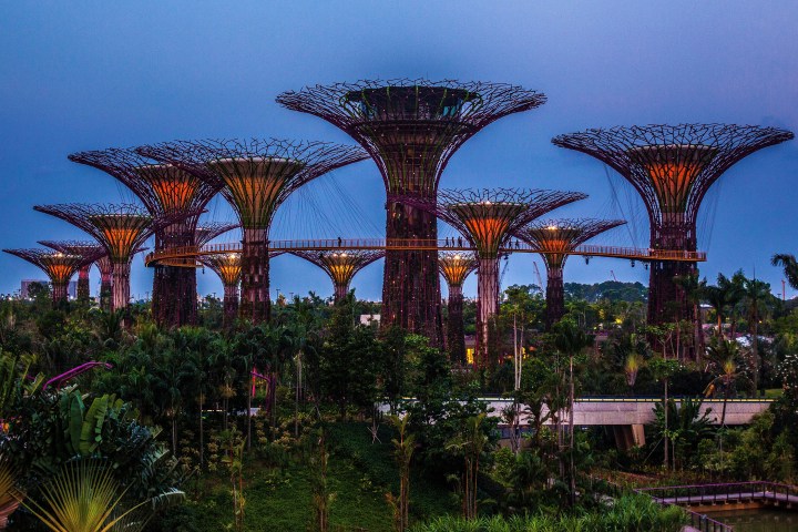 Supertrees of Singapore | TIME.com