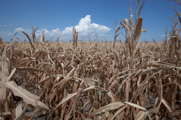 The 2012 Drought Across the U.S. is History Repeating Itself, Again ...