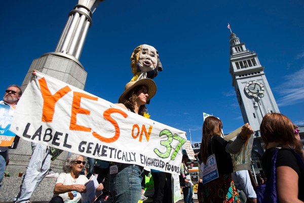 California’s Prop 37 on Genetically Modified Food Is About Politics ...