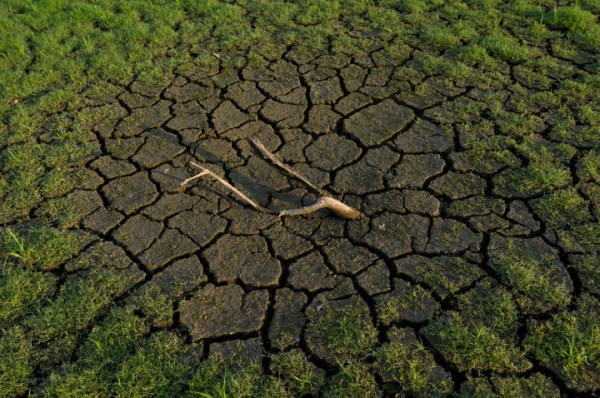 The Great Midwest Drought | Science & Space | TIME.com