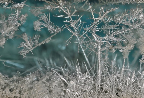 Microscopic Photos of the Elements | TIME.com