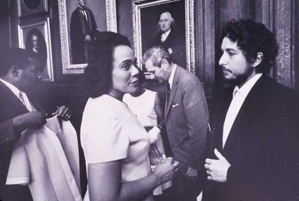 They Inspired a Dylan Song | 7 Things You Didn’t Know About Cicadas ...