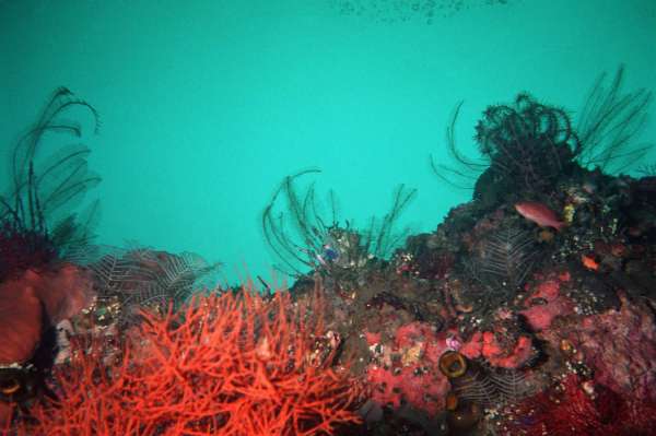 Oceans warm faster, and may hold the key to climate change | TIME.com